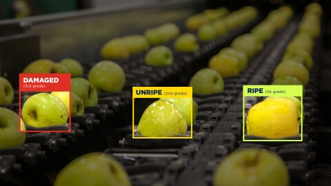 How Computer Vision Helps Reduce Human Error in Logistics | Lemberg Solutions